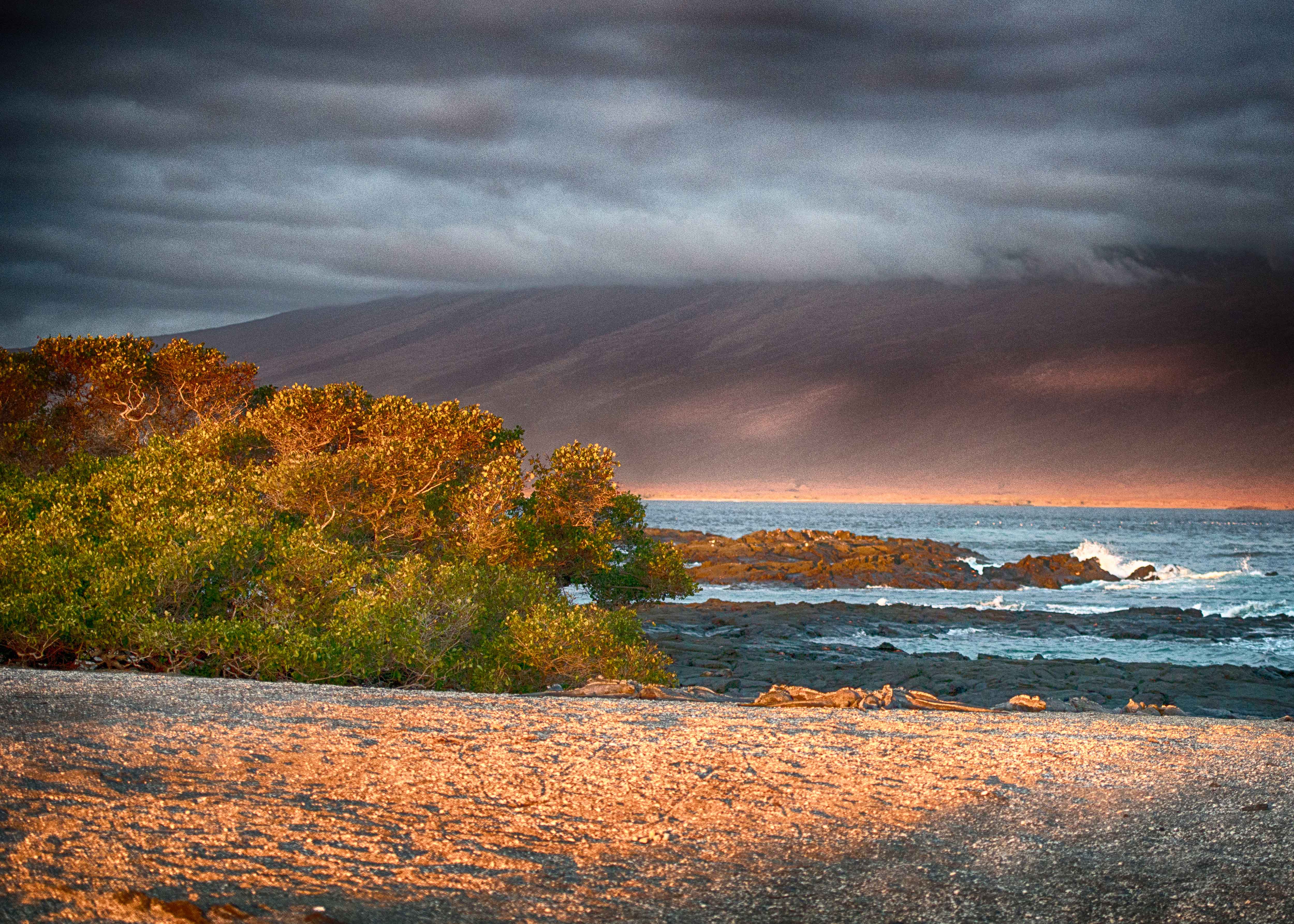 Galapagos Sunset | Shutterbug